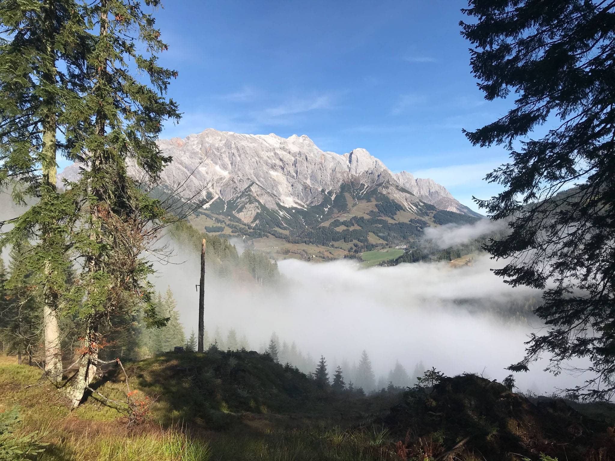 Sehnsuchtsort am Hochkönig - Grünegg Alm und Hochkönig Edelbrennerei